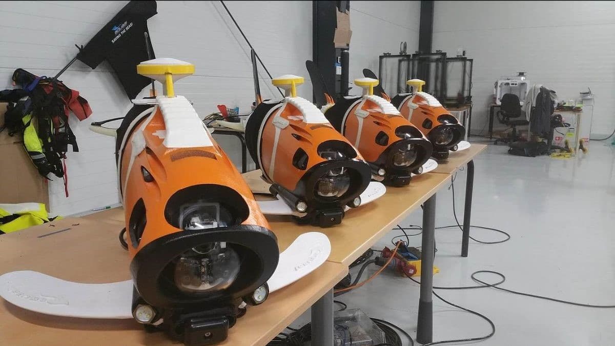 Aquaai Robotic Fish Provides Real-time Data From The Seas - Parallax